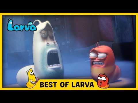 Larva New Friend Full Series Cartoons For Children Larva Cartoon