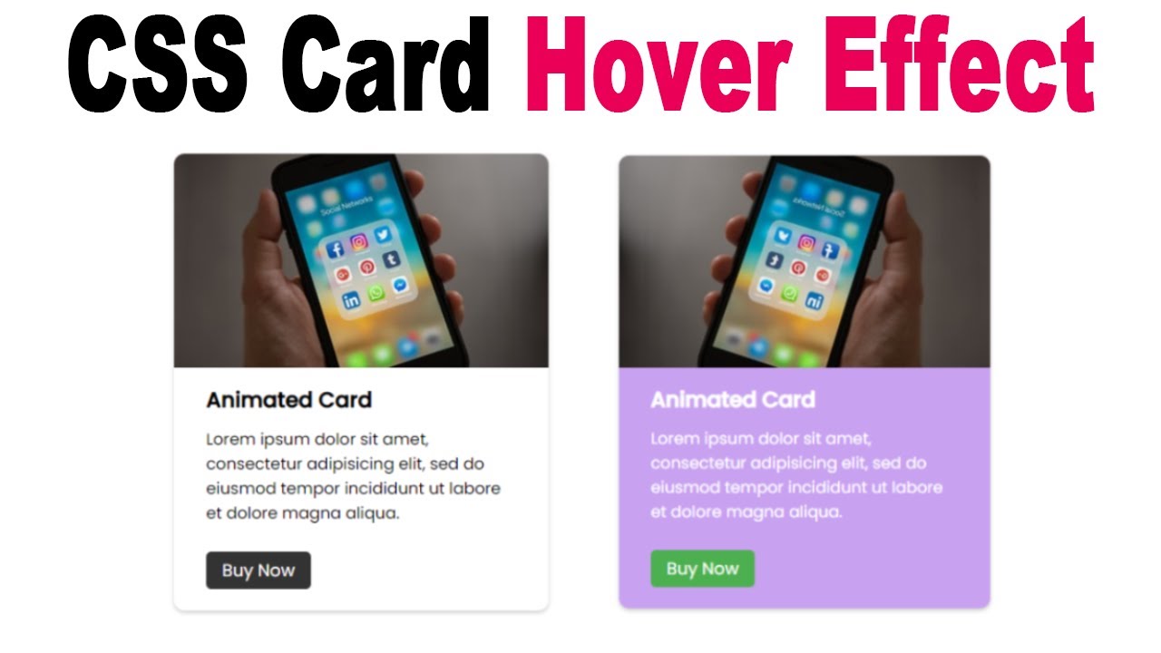How To Create Css Card With Hover Animation Html And Css Tutorial