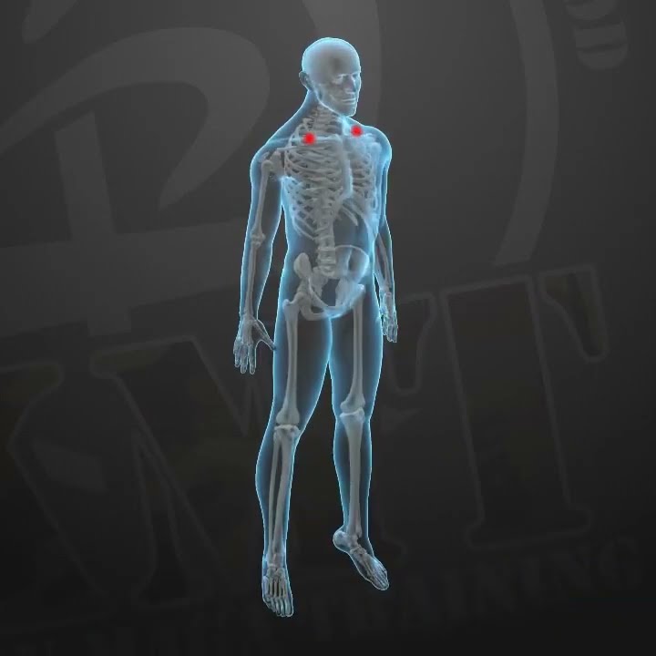 Pressure Point To Ko Part 10 Krav Maga Training Shorts Youtube