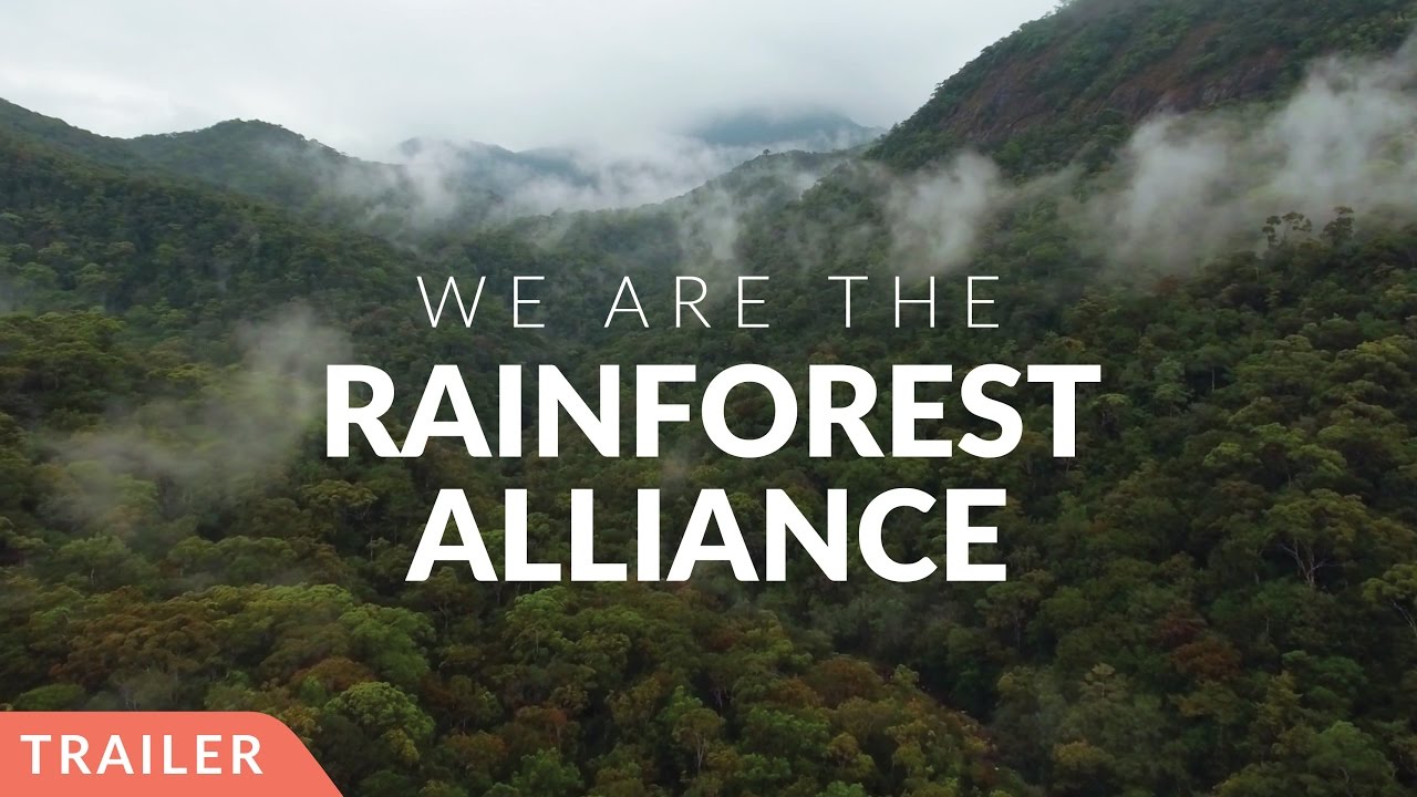We Are The Rainforest Alliance Trailer Youtube