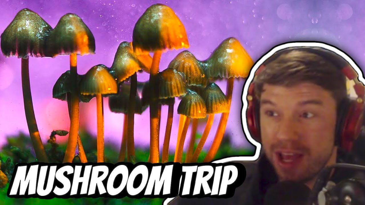 The First Time Kyle Tried Mushrooms Pka Youtube