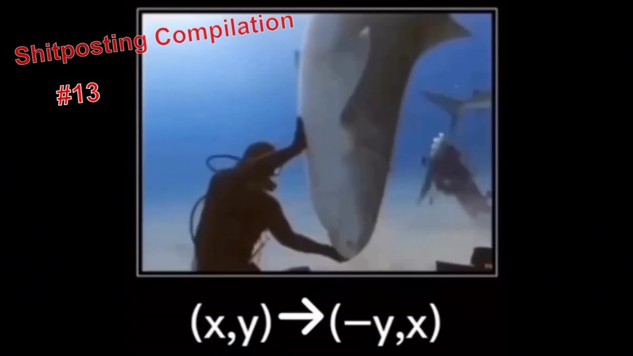 Memes 2024 Shitposting Compilation V13 Youtube