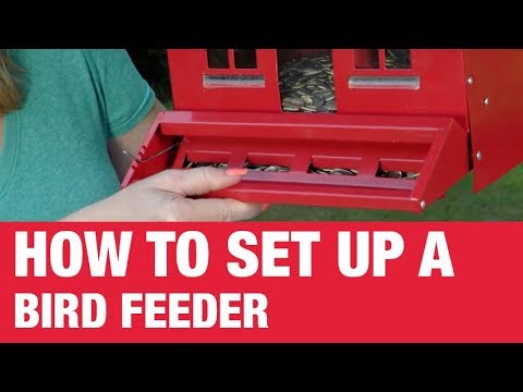 How To Set Up A Bird Feeder Ace Hardware Youtube