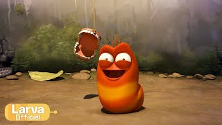 I M A Queencard рџ Larva Girls Animation Compilation Larva Tuba