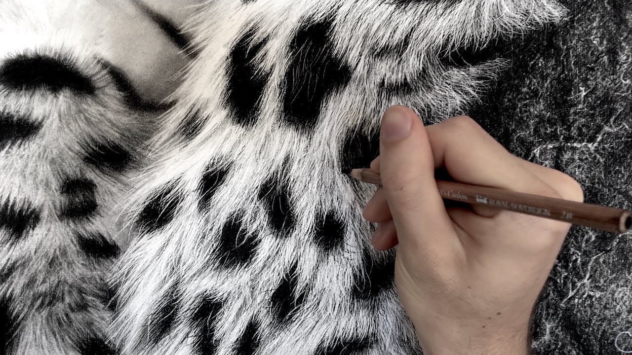 How To Draw Hyperrealistic Fur Full Tutorial Youtube