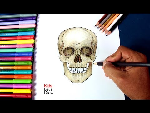 Tutorial De Dibujo De Calavera Humana Amazon Modelo De Calavera