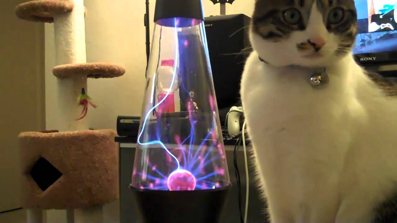 Oooooooooooooooooooooo Youtube