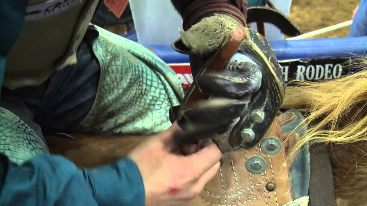 How Bareback Bronc Riggings Work Youtube