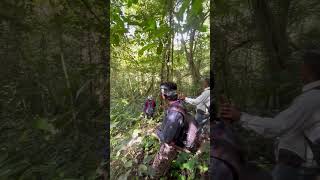 Meboros Traditional Hunting On Mount Batukaru Toine Ijsseldijk Mp3 ...