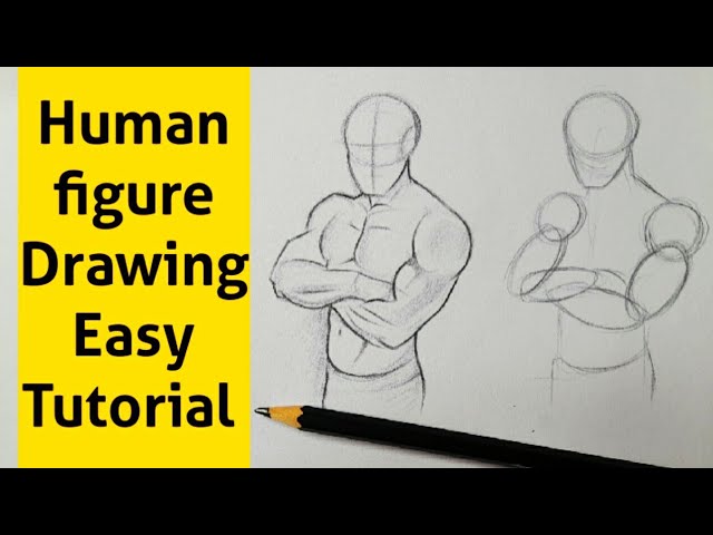 Male Human Figure Drawing