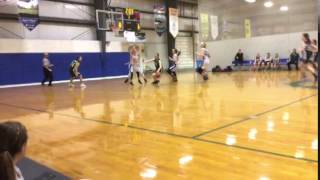 Shay Bollin Hd Tim Bollin Mp3 Music & Mp4 video downloads