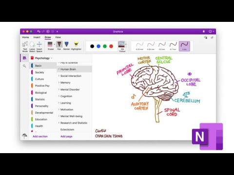 A Beginners Guide To Microsoft Onenote For Windows 10 Youtube