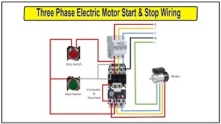3 Phase Electric Motor Starter Wiring Diagram 3 Phase Infoupdate Org
