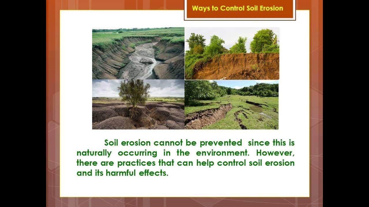 Soil Erosion Prevention Techniques