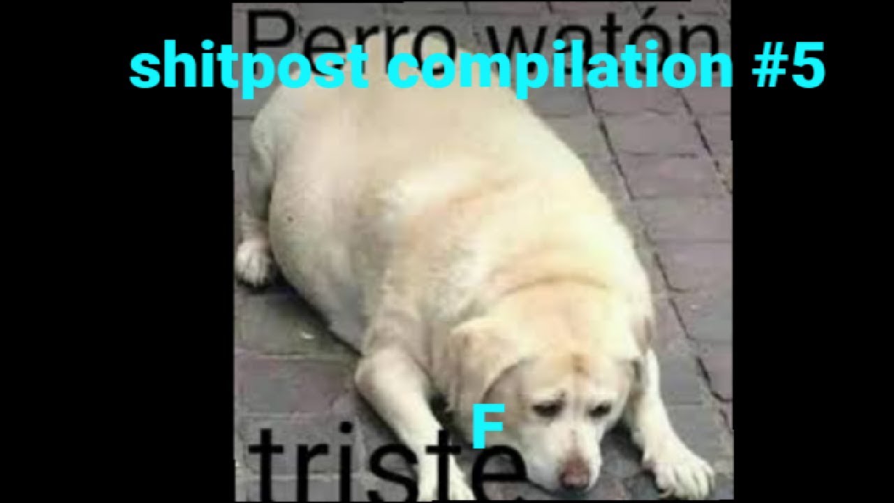 Shitpost Compilation 6 By Gardevoir Youtube