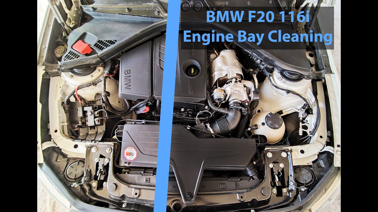Engine Bay Cleaning Bmw At Mason Jaques Blog