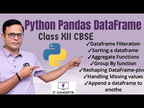 Python Pandas Dataframe Tutorial Class 12 Informatics Practices Video