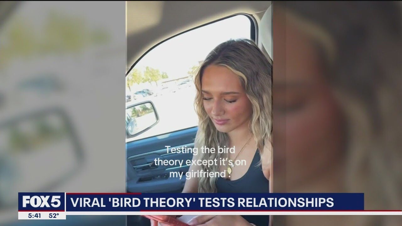 Viral Bird Theory Tests Relationships Youtube