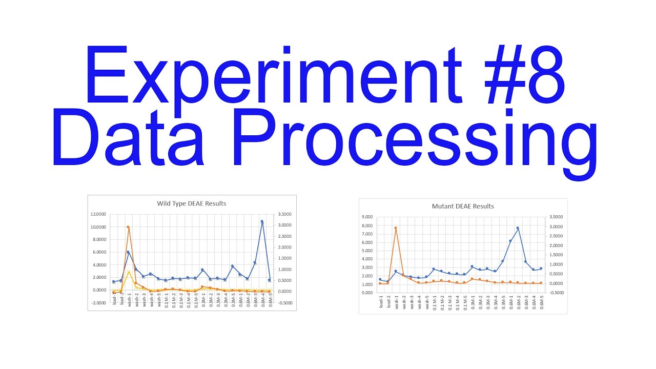 Experiment 8 Data Processing Youtube