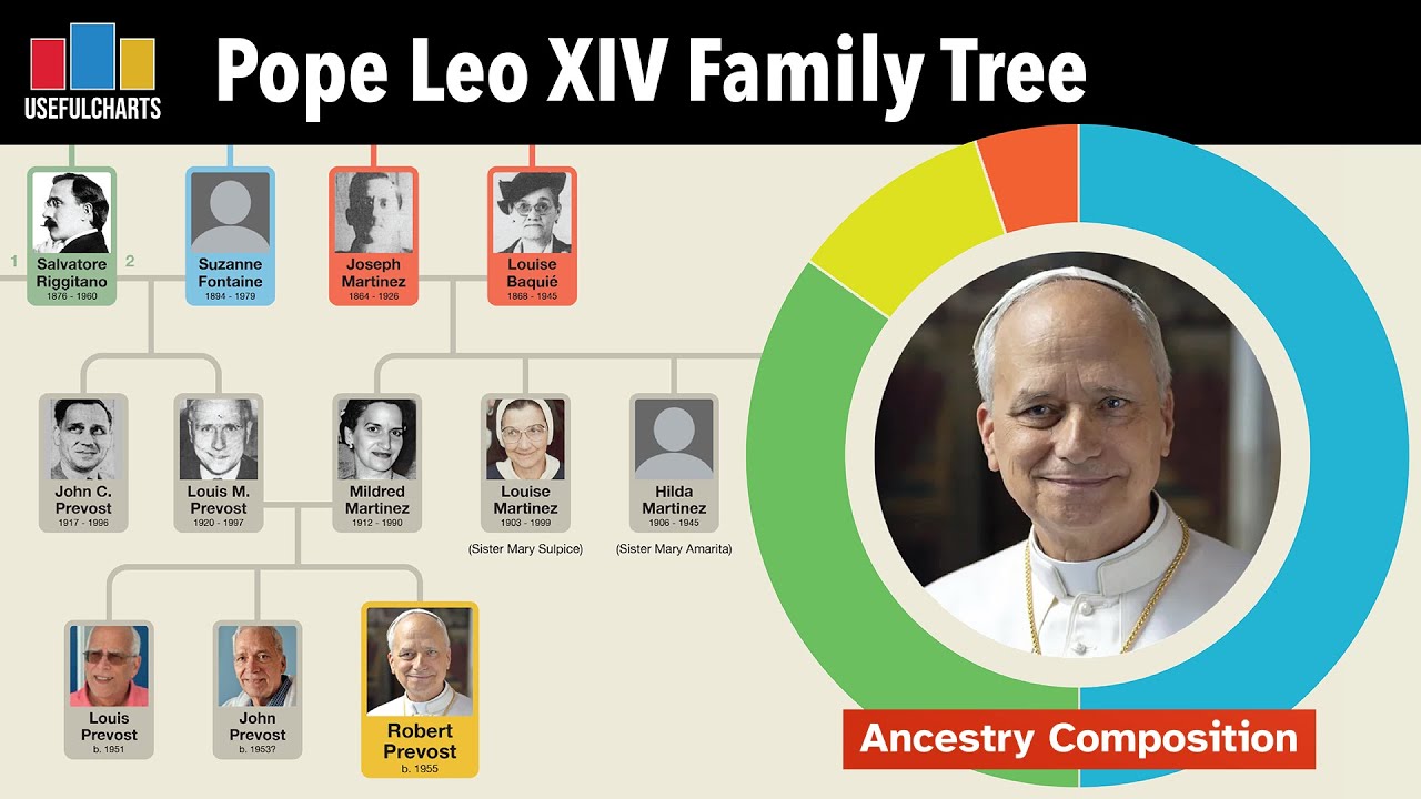 Pope Leo Xiv Family Tree Youtube