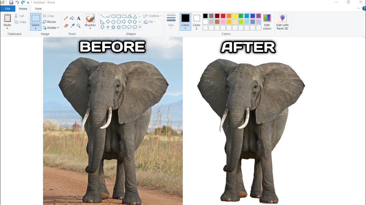How To Remove Image Background In Just 2 Minutes Photo Background