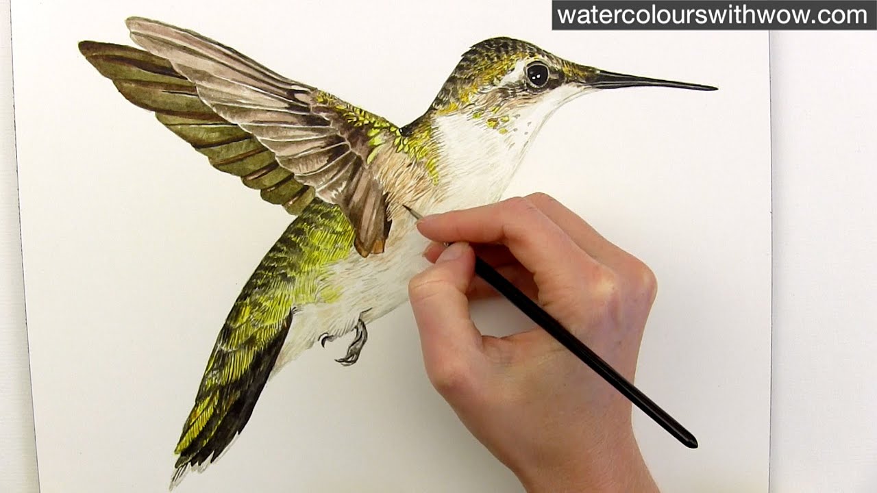 Realistic Bird Painting