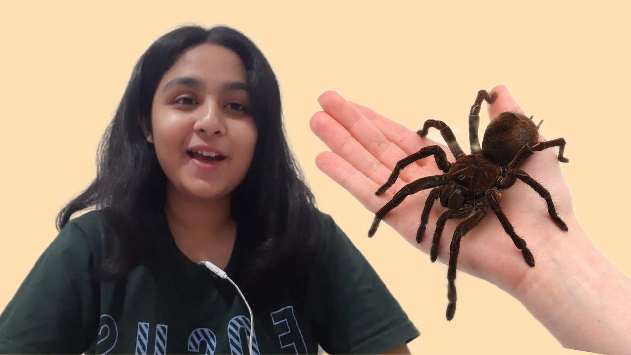 Asmr Spider Moaning Youtube
