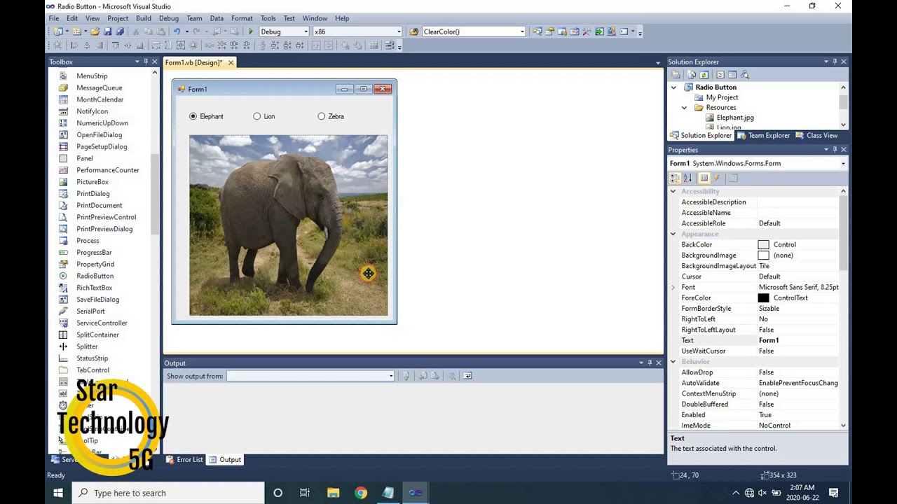 Visual Basic 25 Radio Button How To Use Radio Button Youtube