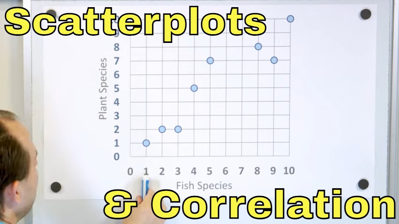 Draw Scatterplots Determine Correlation Positive Negative