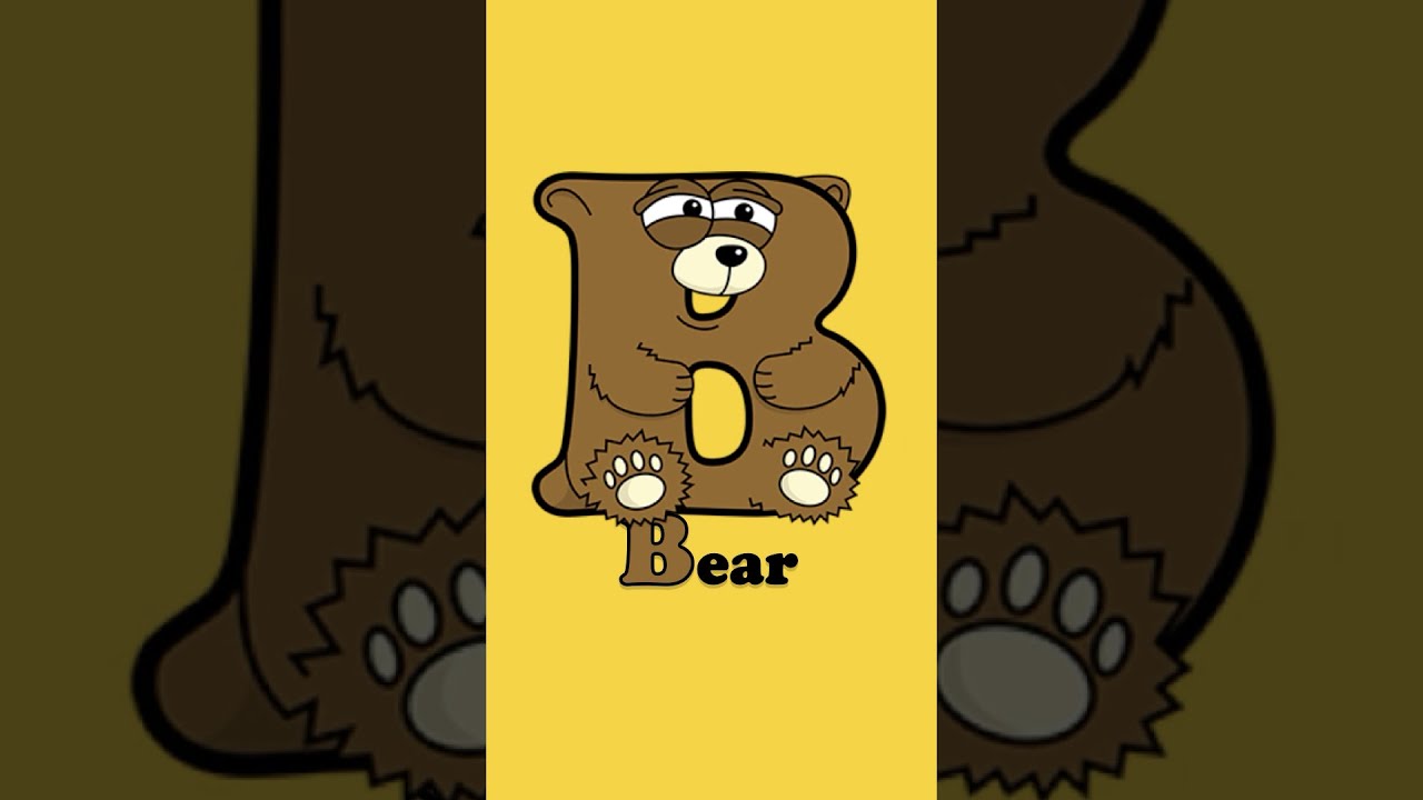 Animals That Start With B Baboon Bass Bat Bear Beaver Bison