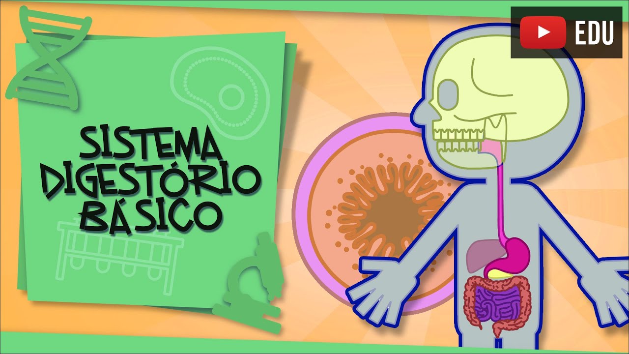Sistema Digestivo Para Criancas Time For Kids Informational Text El