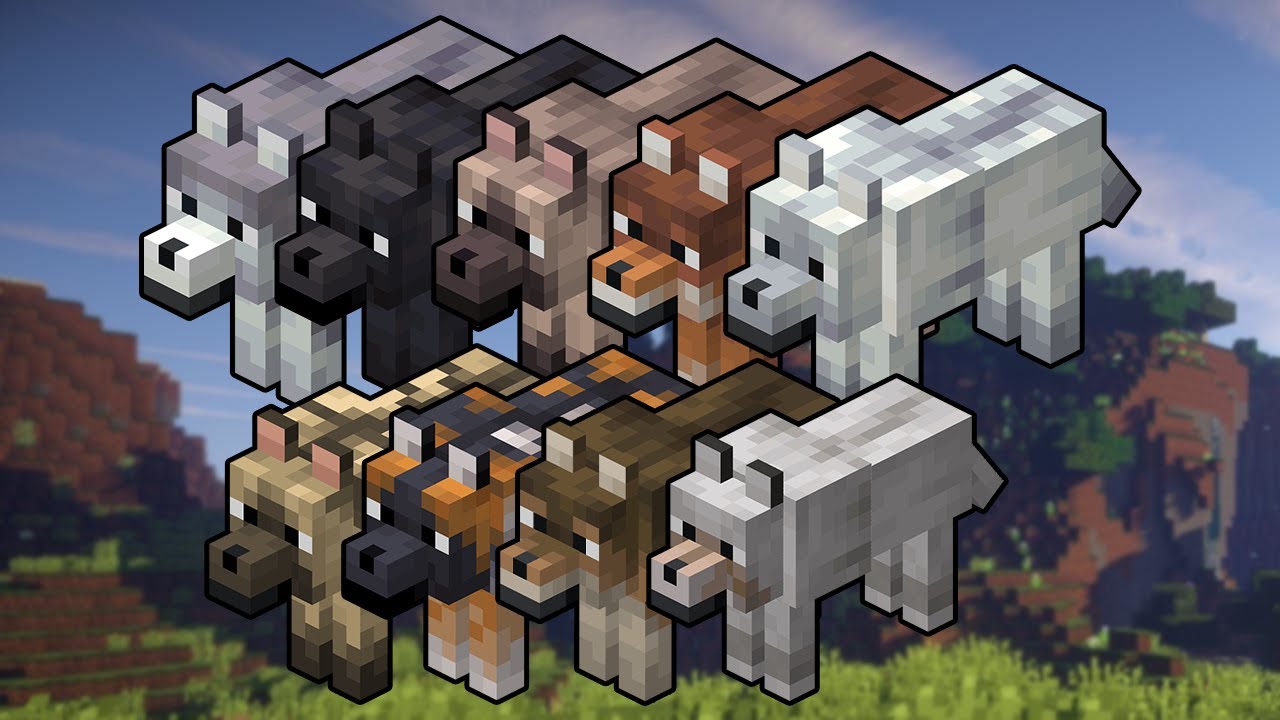 How To Find Every Wolf Variant In Minecraft 1 21 Youtube