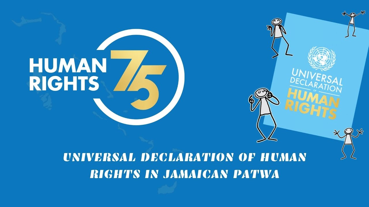 Declaration Of Human Rights Logo Hfw Supports Ngo On Development Of
