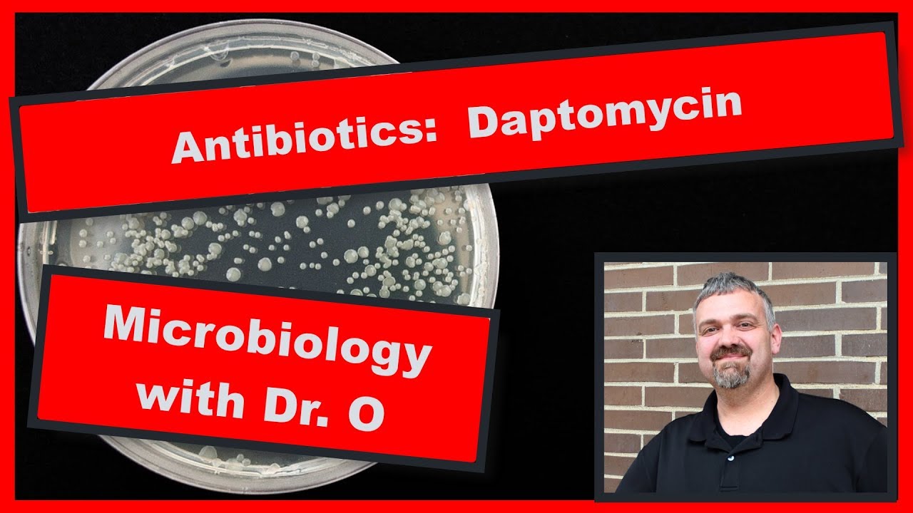 Daptomycin And Vrsa Microbiology Youtube