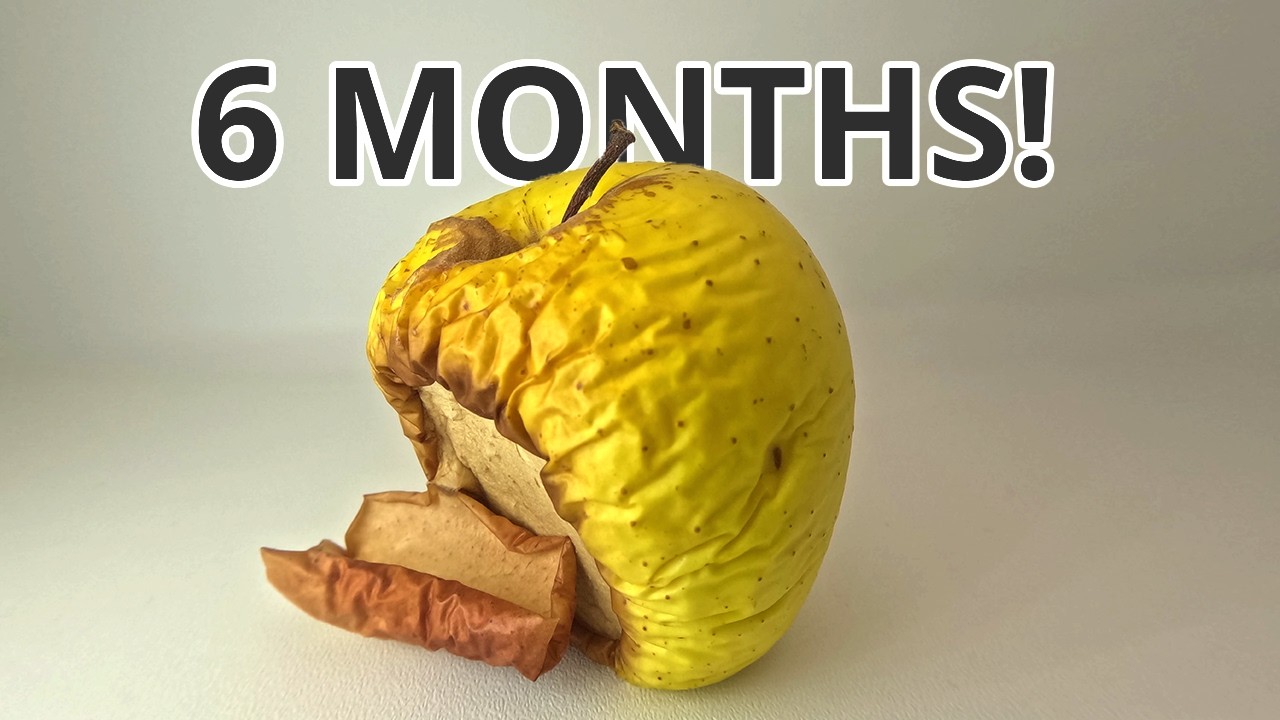 Apple Decomposing Time Lapse Youtube