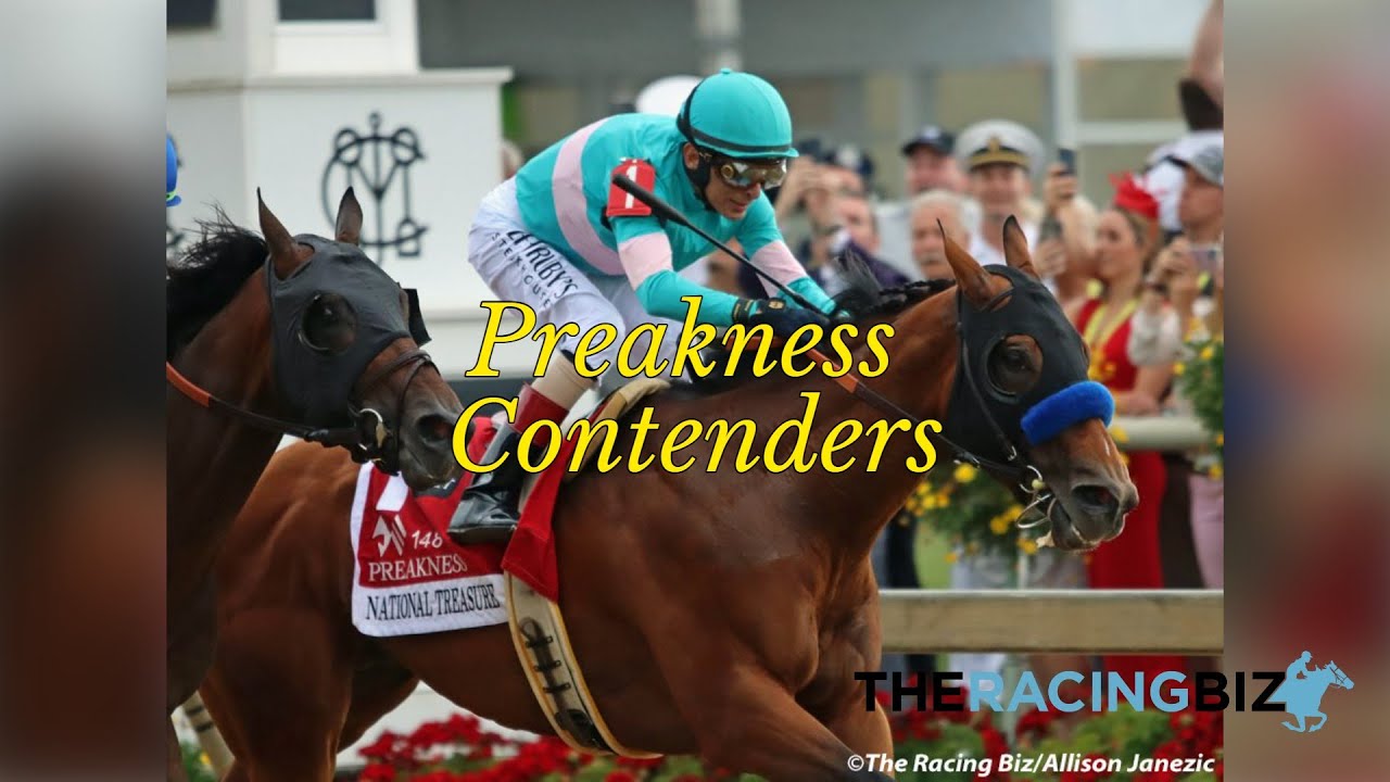 Meet The Preakness Contenders Youtube