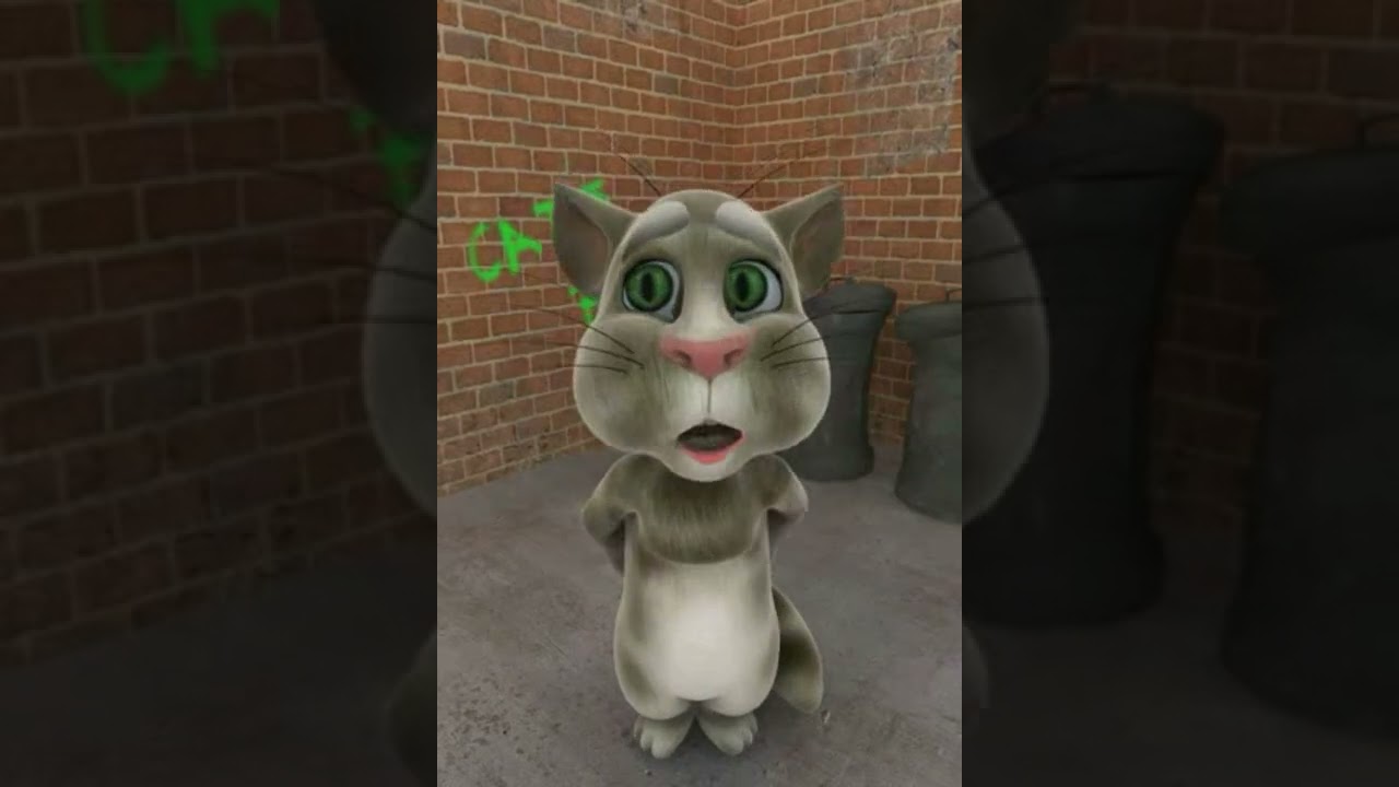 Every Animations In Talking Tom Cat 2010 Youtube