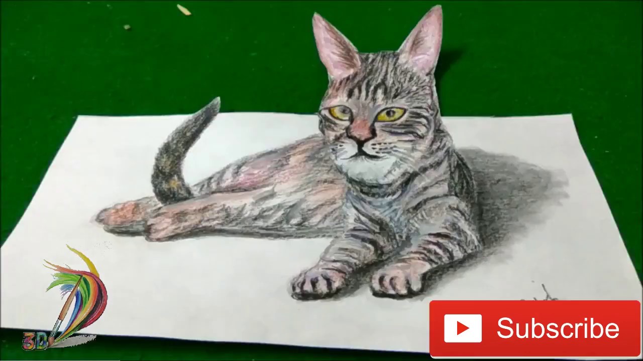 Cool 3d Drawing Of Cat How To Draw 3d Cat On Paper Anamorphic