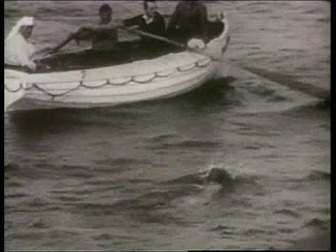 Dona Havia De Ser Gertrude Ederle La Primera En Cruzar A Nado El Canal