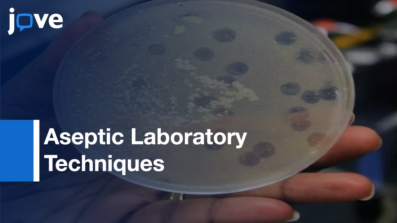 Aseptic Laboratory Techniques Plating Methods L Protocol Preview Youtube
