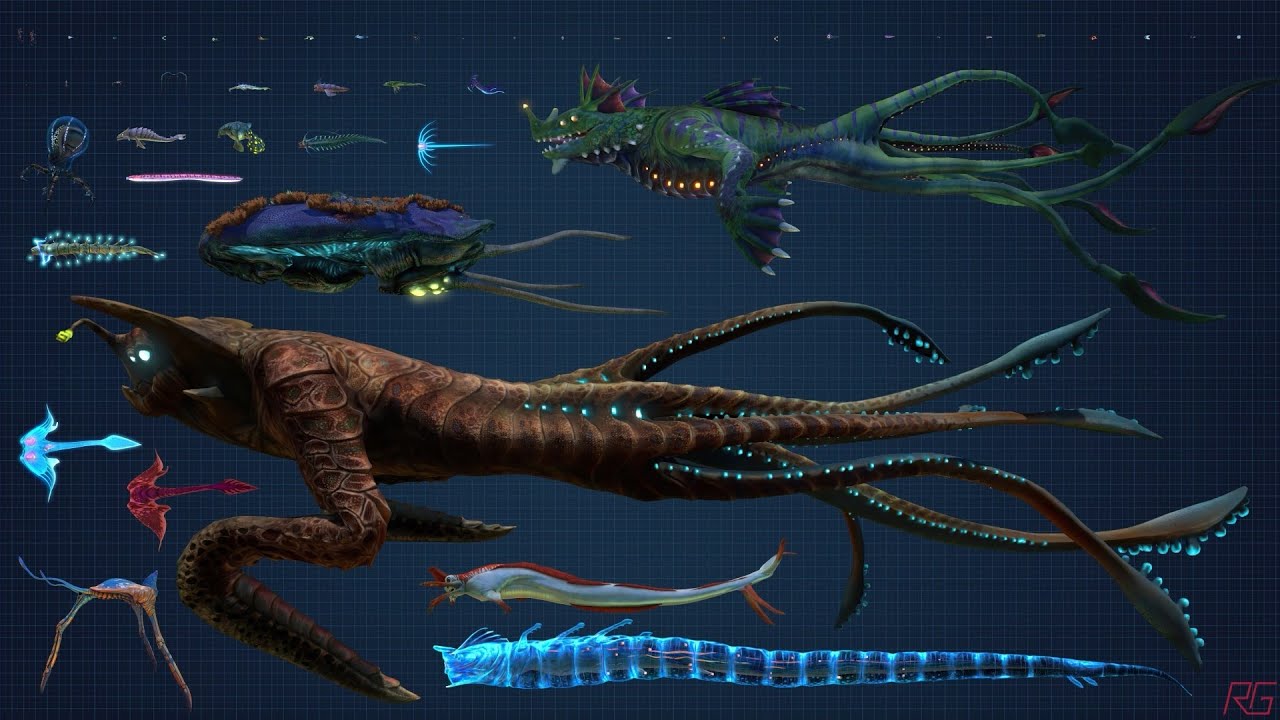 Leviathan Sizes