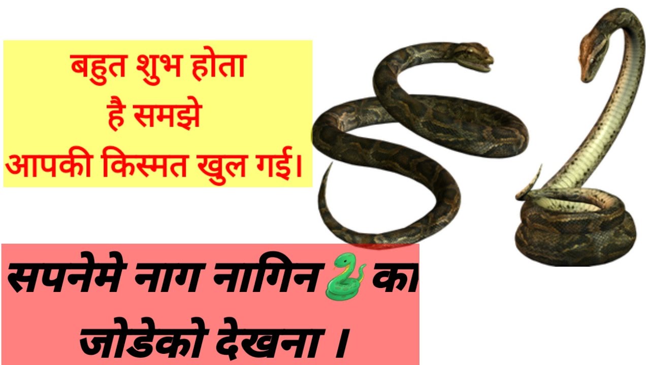 Sapne Me Nag Nagin Ka Jode Ko Dekhna Sapne Me Saap Ko Dekhne Ka
