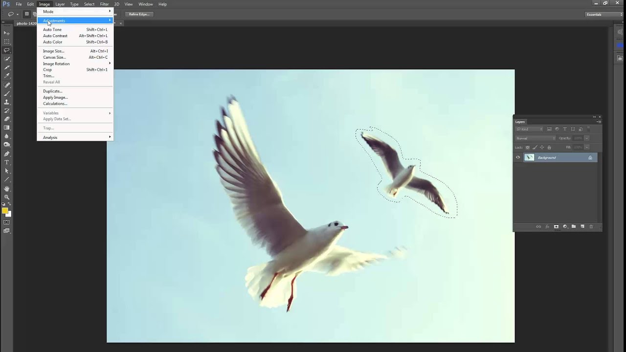 Duplicate Selection Youtube