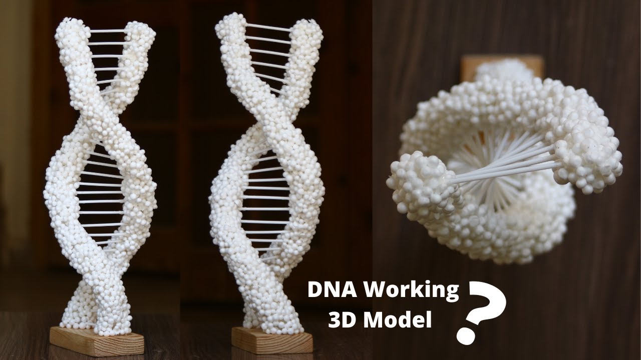 How To Make A Dna Helix Model Miniature Dna Lego