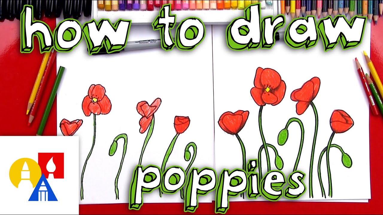 How To Draw A Poppy Flower Art Hub At Keith Joseph Blog