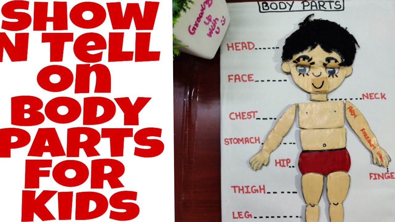 Human Body Parts Images For Project Infoupdate Org