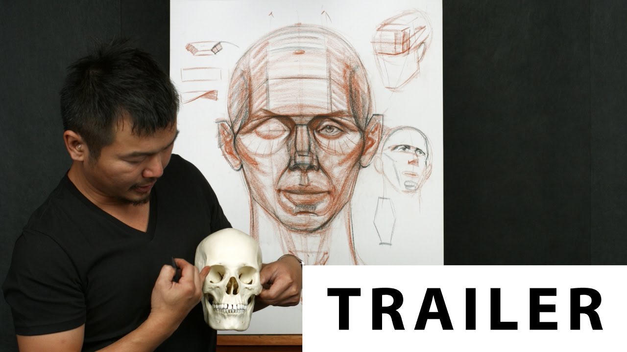 Head Drawing 1 Part 1 Proportions And Structure With Charles Hu