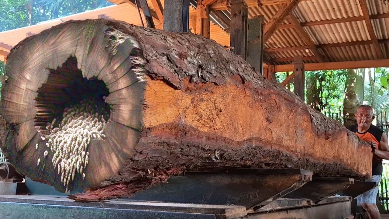 Giant Redwood Logs Worth Hundreds Of Millions Of Dollars Are Disturbing