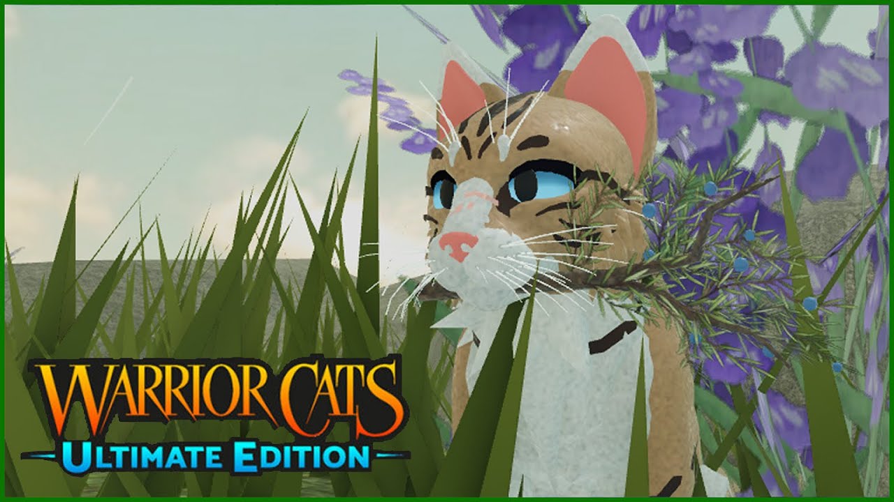 In Which I Roleplay As A Medicine Cat Warrior Cats Ultimate Edition