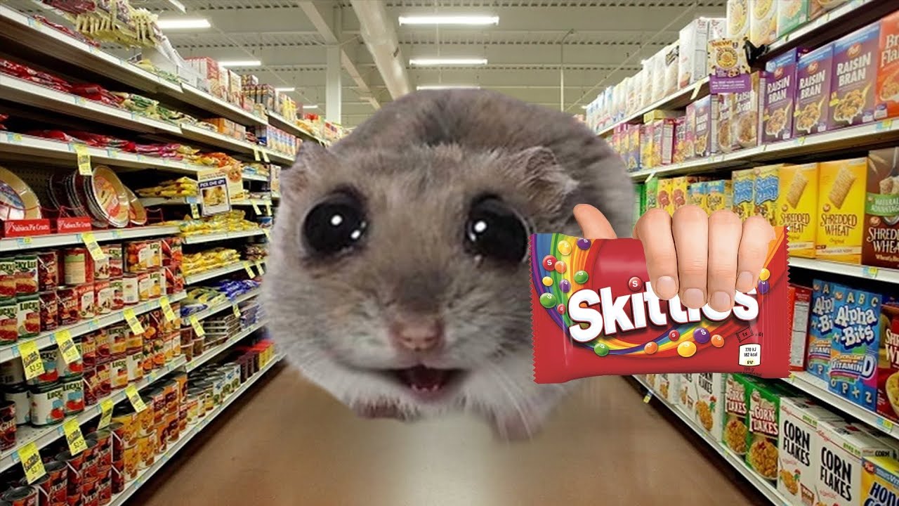 Skittles Meme Sad Hamster Youtube